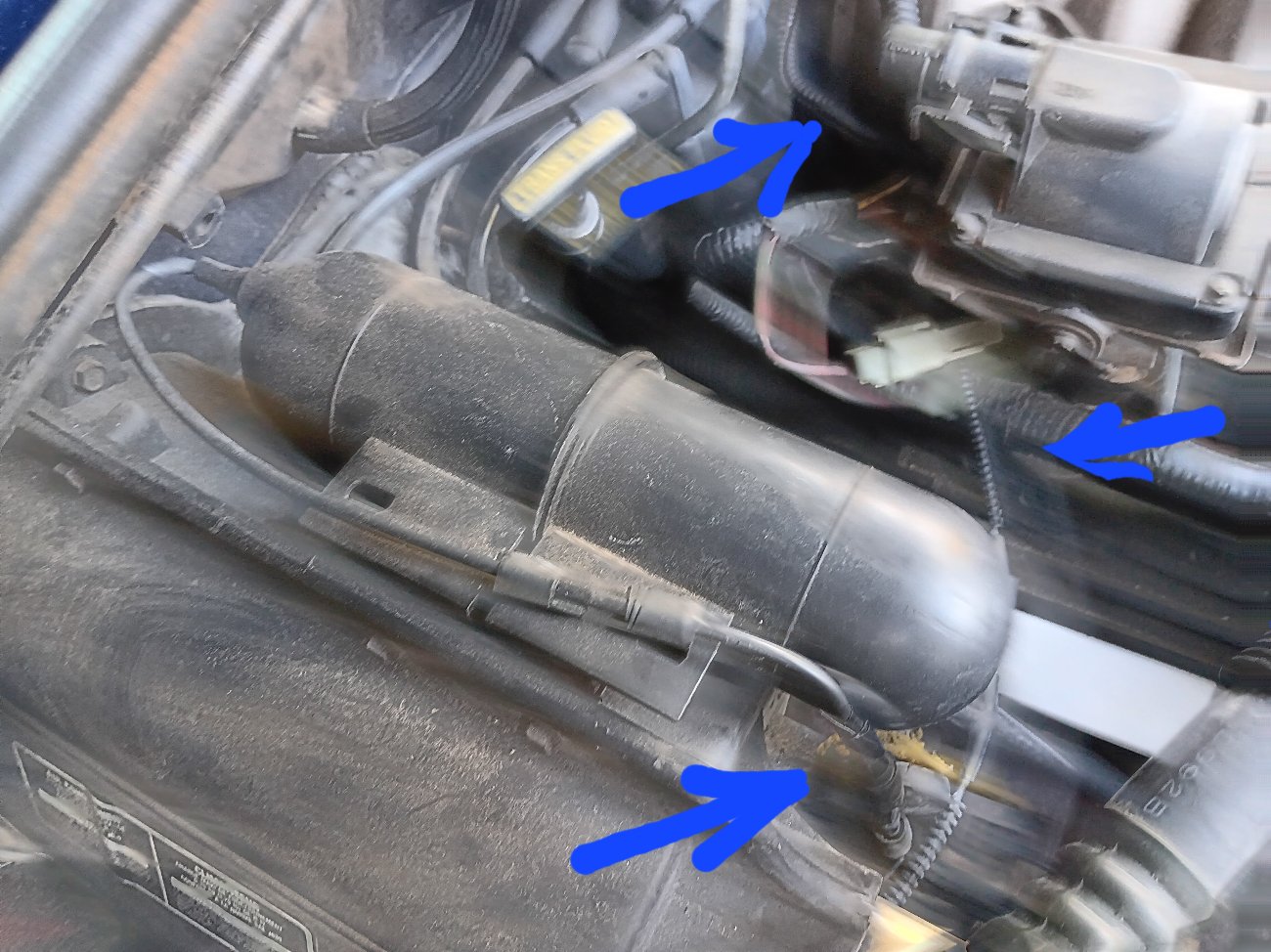 Tiny plastic line snapped – trying to identify | The Ranger Station