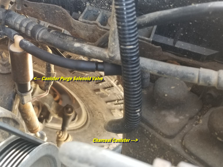 Ford P1443 & P0401 Trouble Codes - The Ranger Station